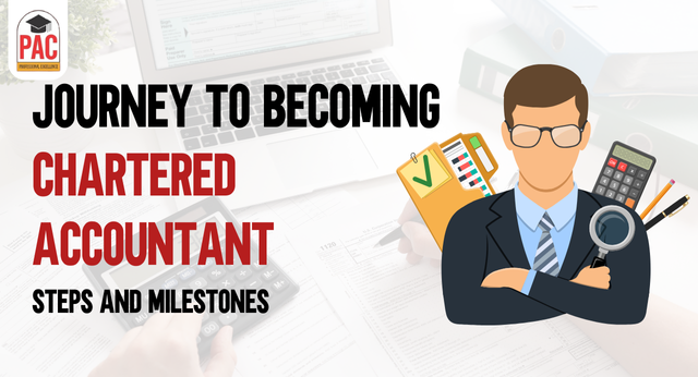 Ultimate Journey to Becoming a Chartered Accountant|Pakistan