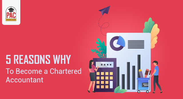 Powerful Reasons to Become a Chartered Accountant